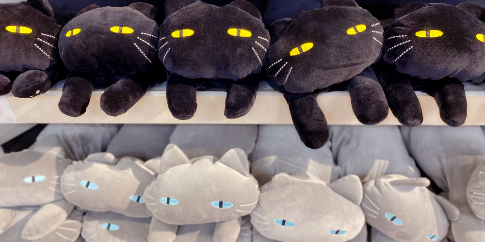 貓之日 愛貓人的貓貓小物大集合｜NITORI 宜得利家居線上購物網