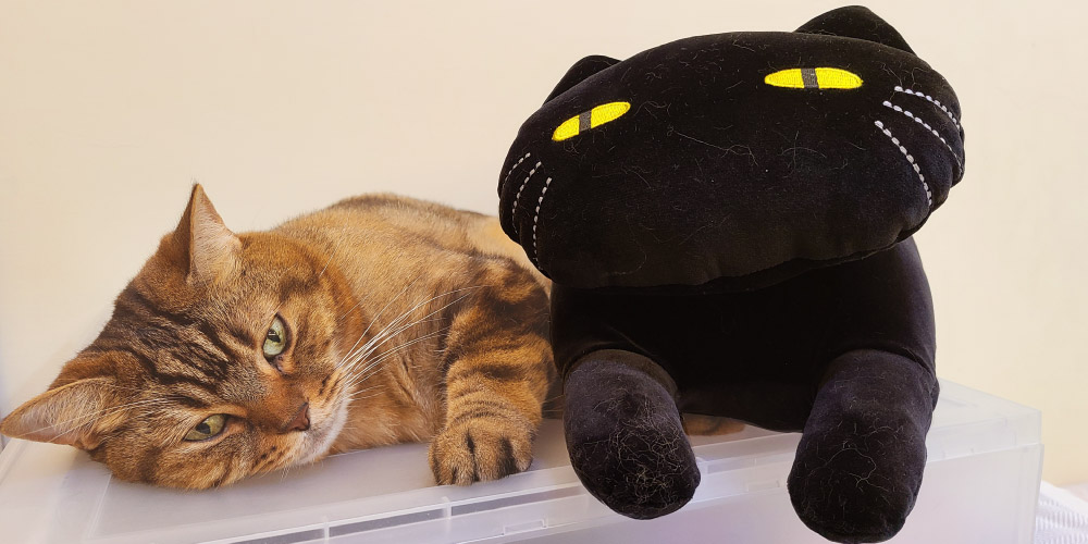 貓之日 愛貓人的貓貓小物大集合｜NITORI 宜得利家居線上購物網