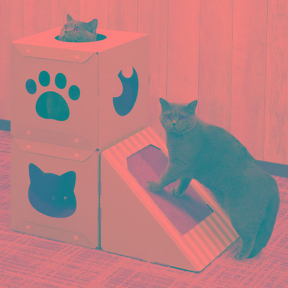 貓窩 附抓板 CAT BOX｜NITORI 宜得利家居線上購物網